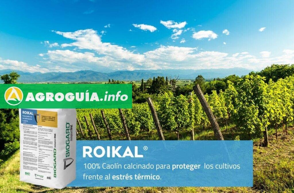 Caolín Agrícola: El Secreto para Cultivos Exitosos - Agro Guía