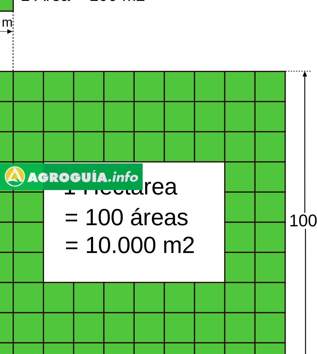 La Sorprendente Respuesta a ¿Cuántos Litros es una Hectárea? - Agro Guía